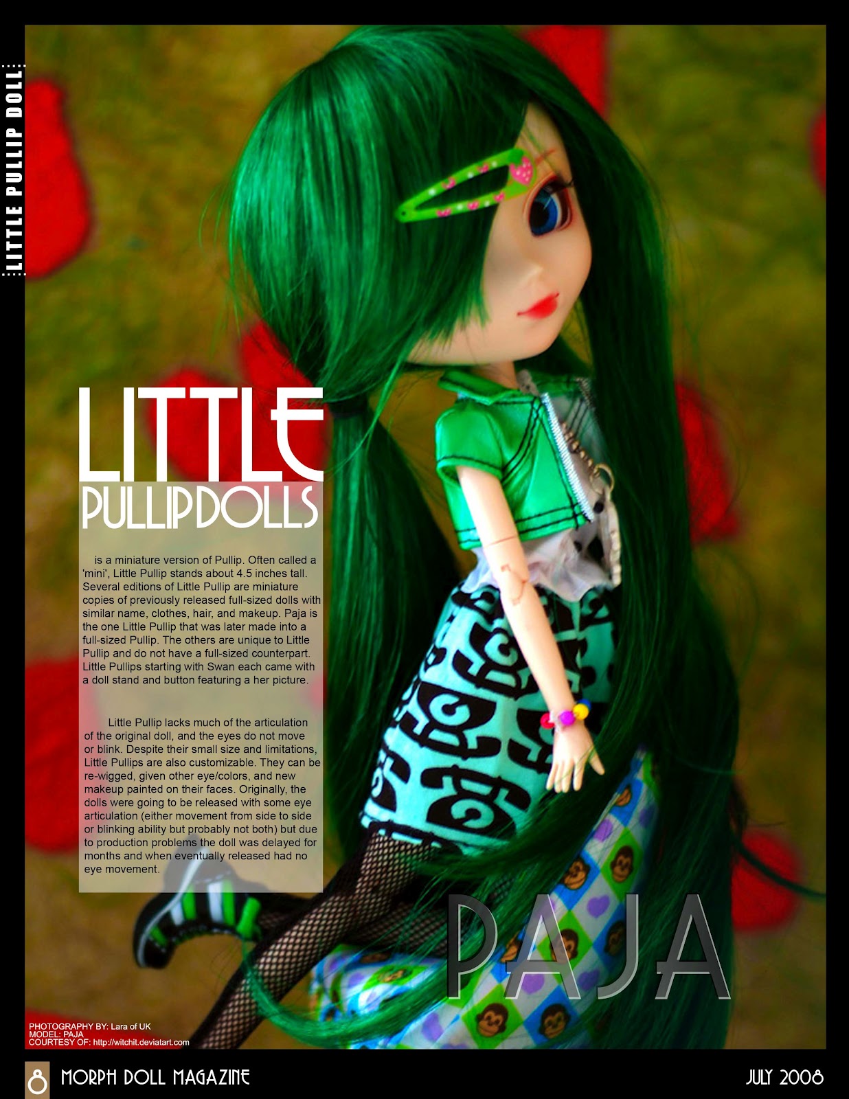 Pullip Dolls | Garota Coruja